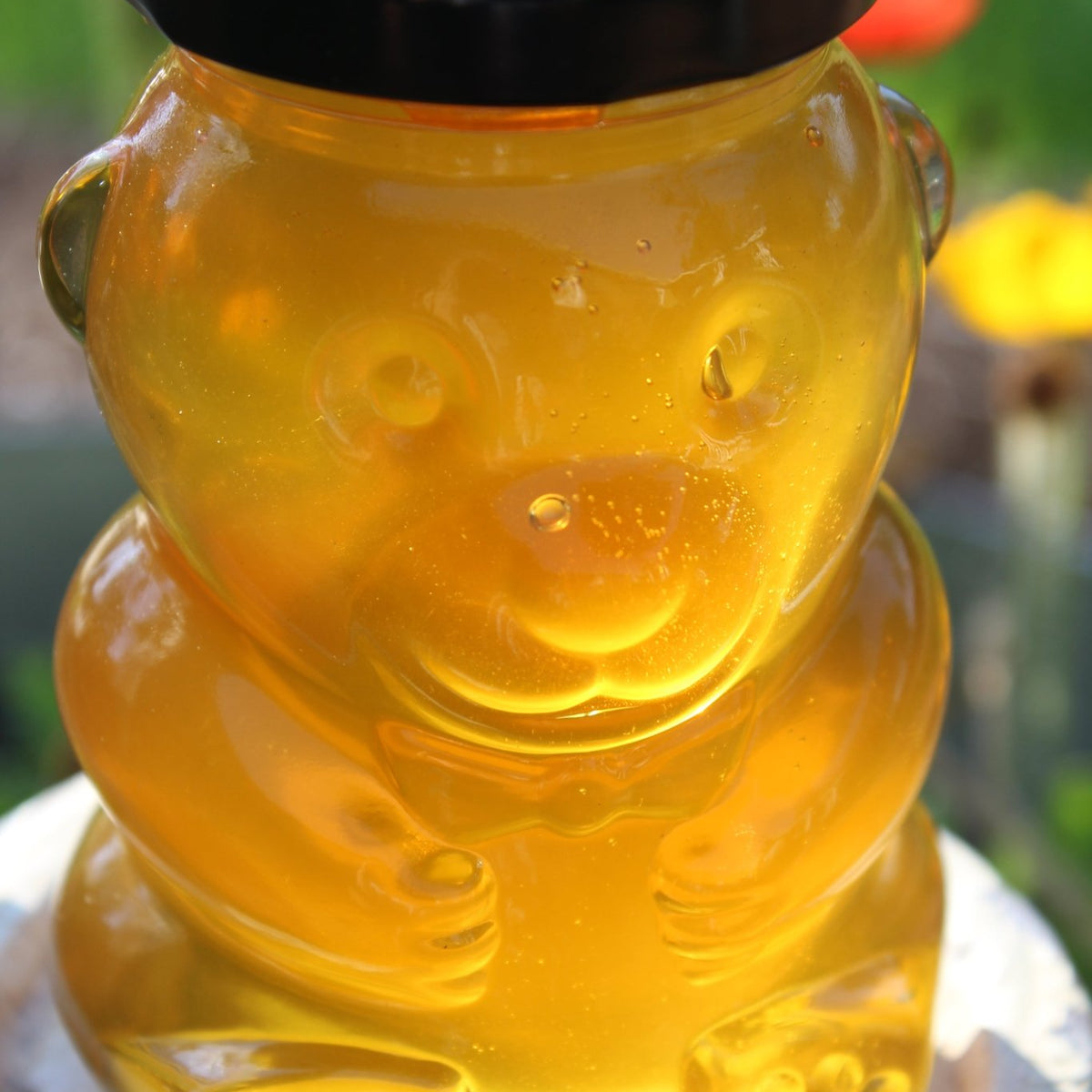 Organic Honey Bear – Willow Farms