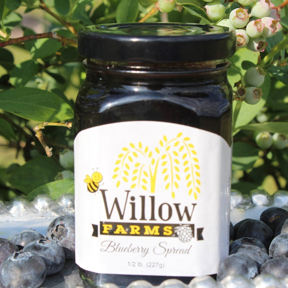 Blueberry Spread – Willow Farms